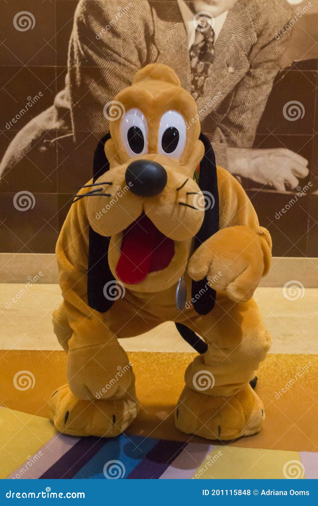 Pluto editorial stock photo. Image of outfit, disney - 201115848