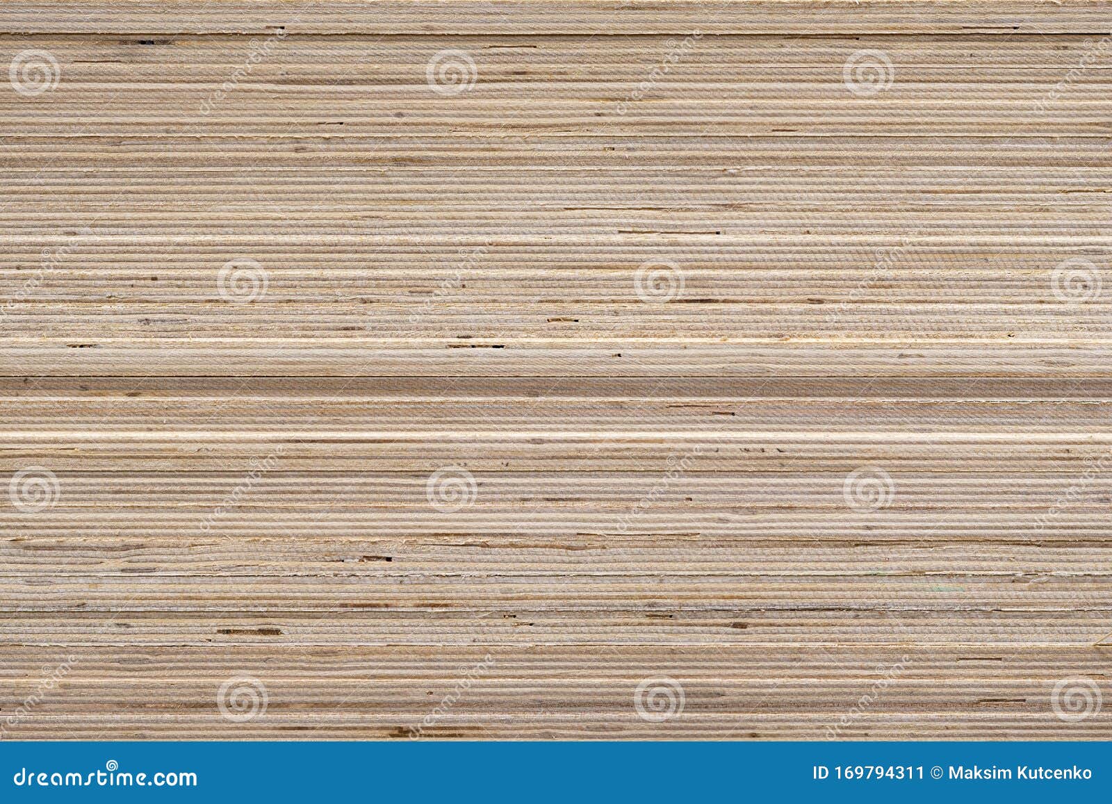 Plywood End Side High Resolution Texture Stock Image - Image of texture ...