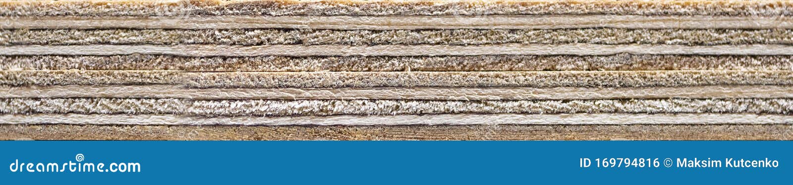 Plywood End Side High Resolution Texture Stock Photo - Image of sheet ...