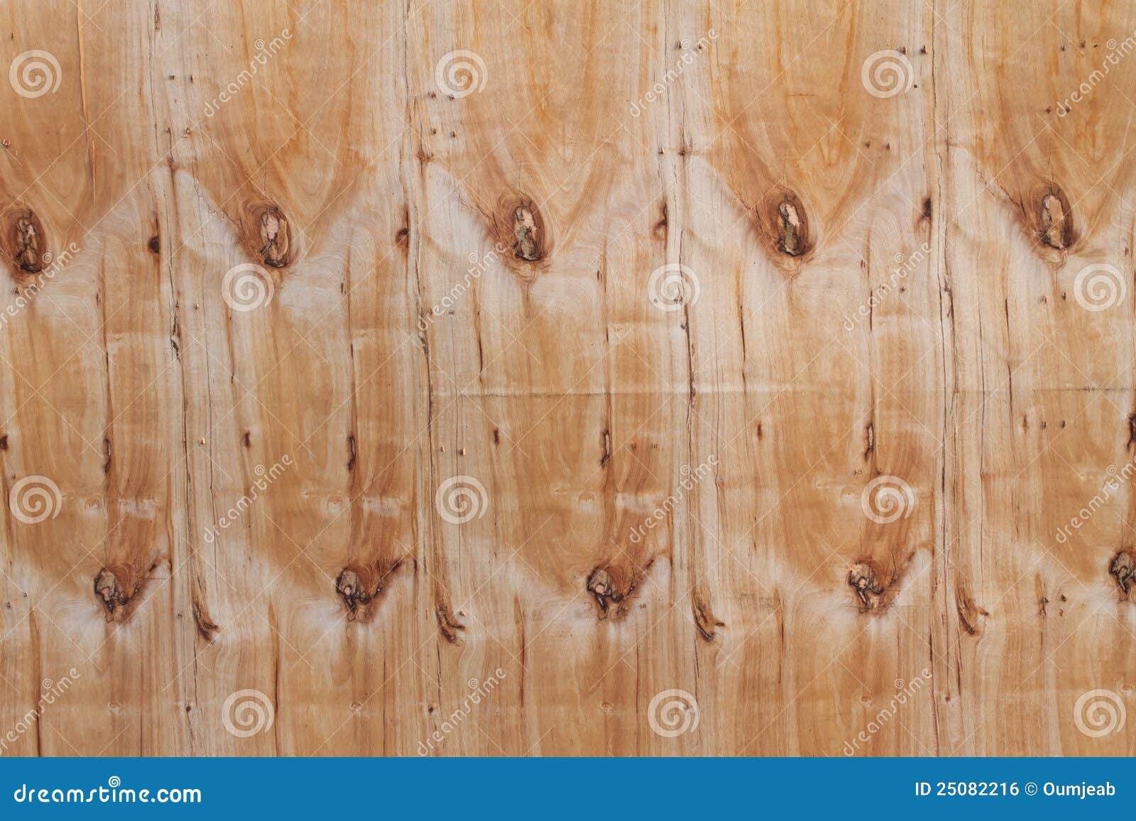 Plywood pattern stock photo. Image of construction, exterior - 25082216