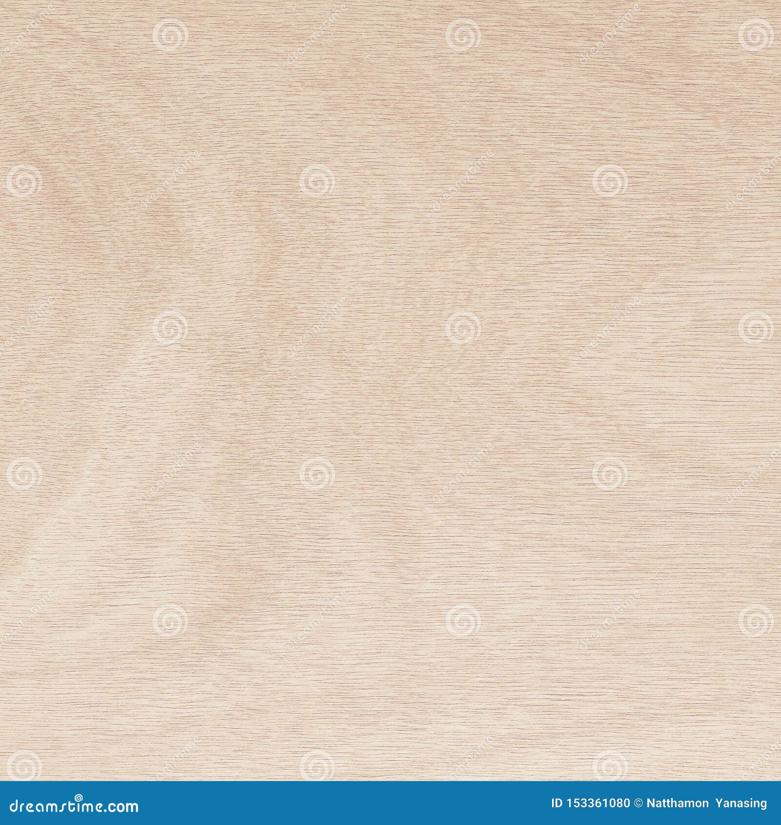 Plywood Surface in Natural Pattern with High Resolution. Wood Grain ...