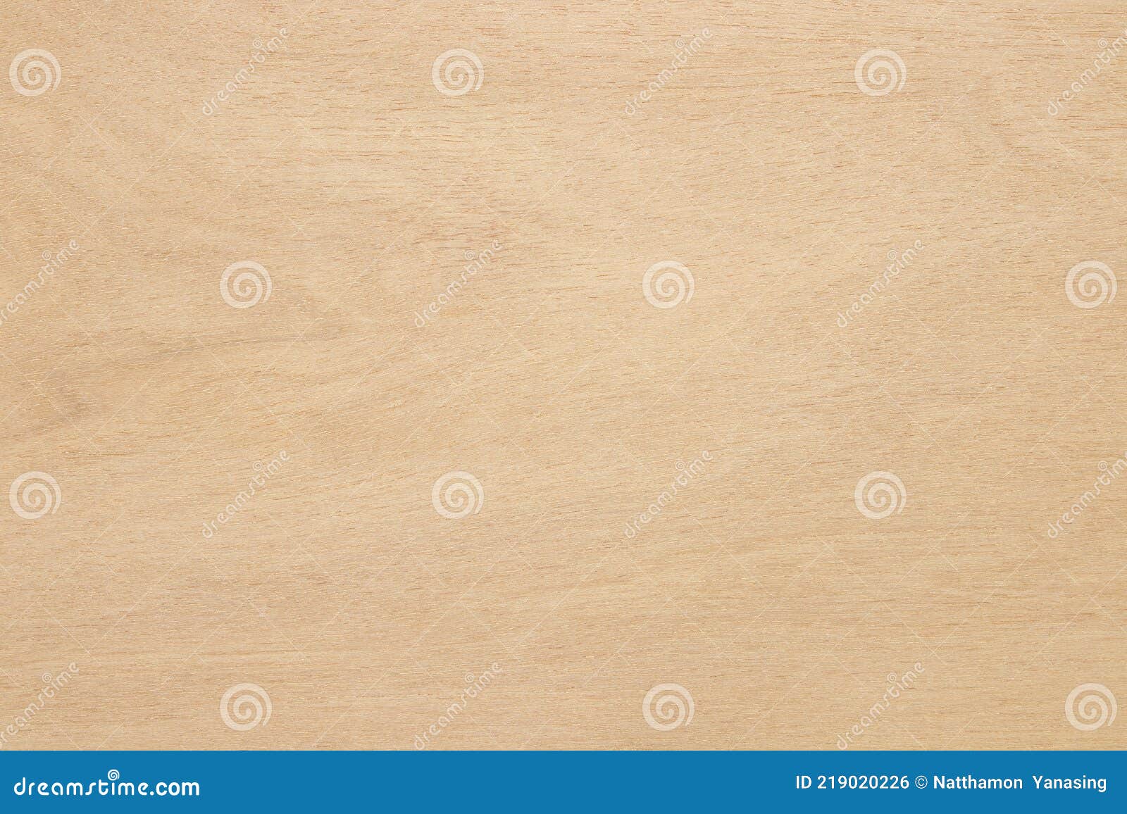 Plywood Surface in Natural Pattern with High Resolution. Wood Grain ...