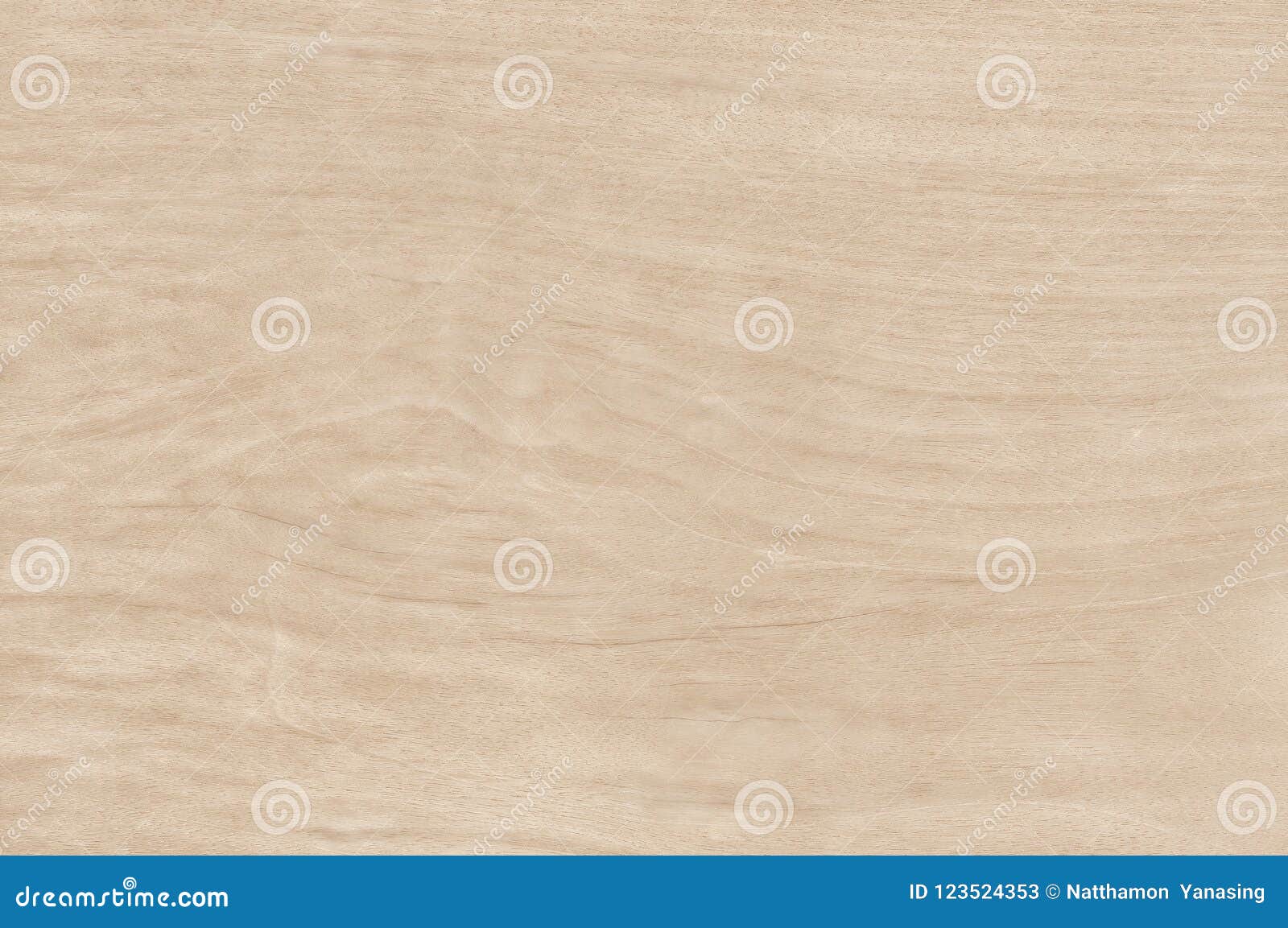 Plywood Surface in Natural Pattern with High Resolution. Wooden Grained ...