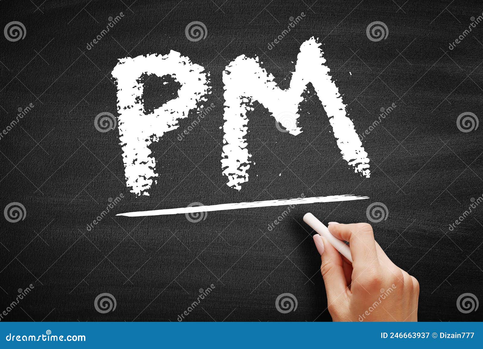 PM - Project Manager is a Professional in the Field of Project ...