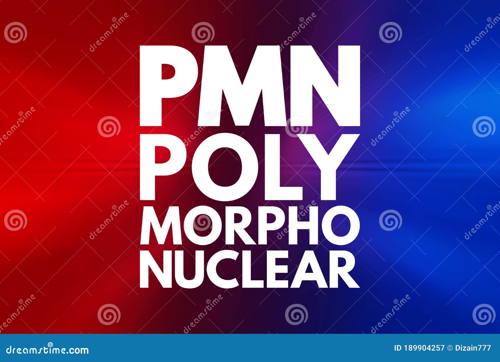 Neutrophil . Polymorphonuclear PMN . White Blood Cells With ...
