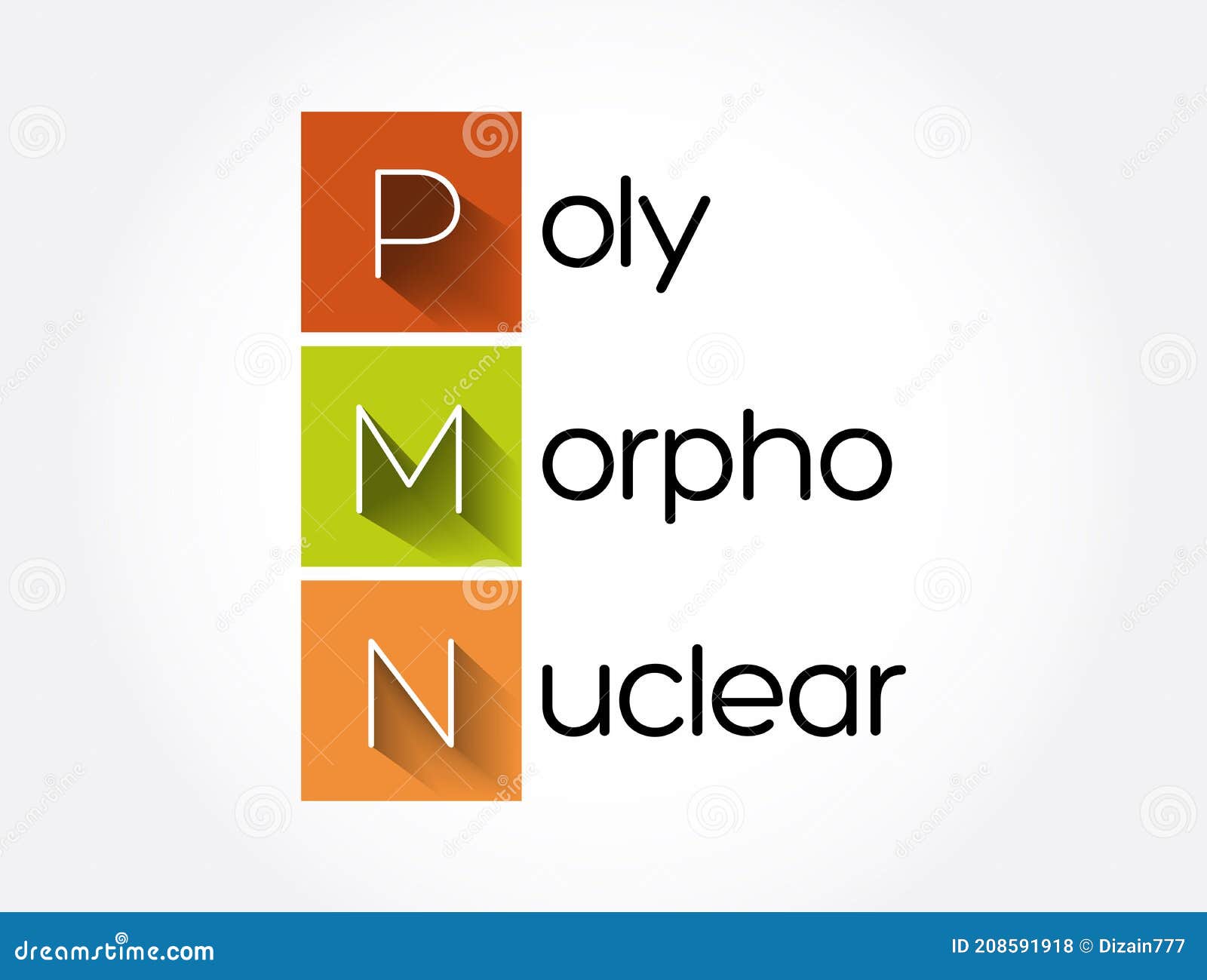 Neutrophil . Polymorphonuclear PMN . White Blood Cells With ...