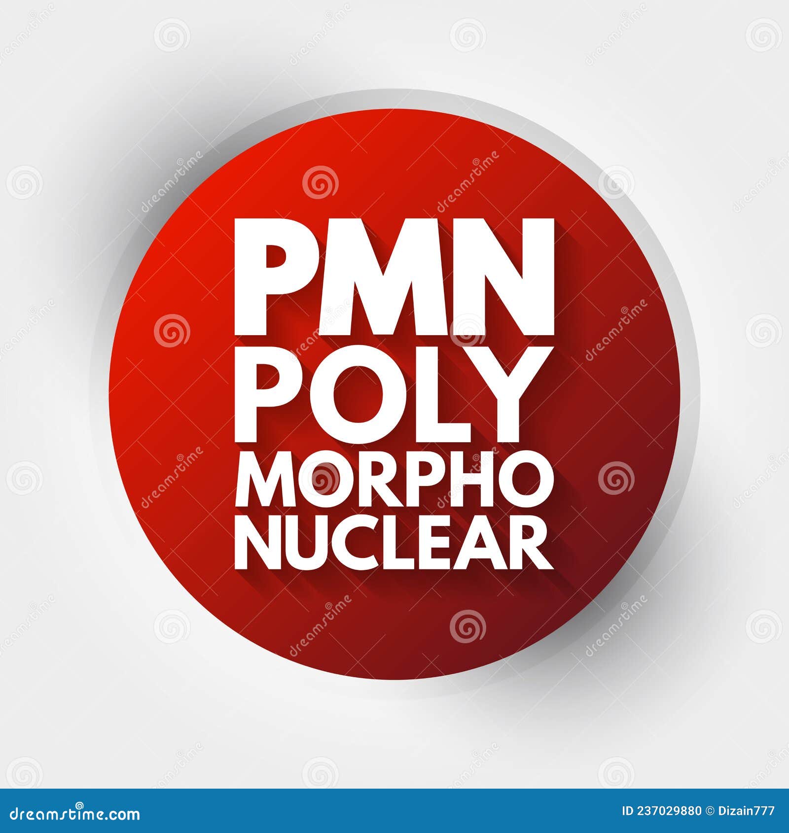 PMN - PolyMorphoNuclear Acronym, Concept Background Stock Illustration ...