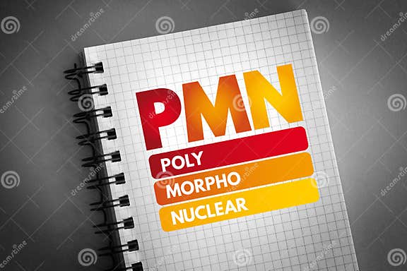 PMN - PolyMorphoNuclear Acronym on Notepad, Concept Background Stock ...
