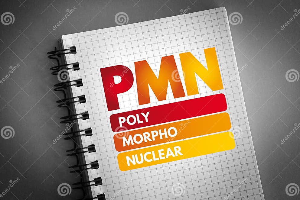 PMN - PolyMorphoNuclear Acronym on Notepad, Concept Background Stock ...