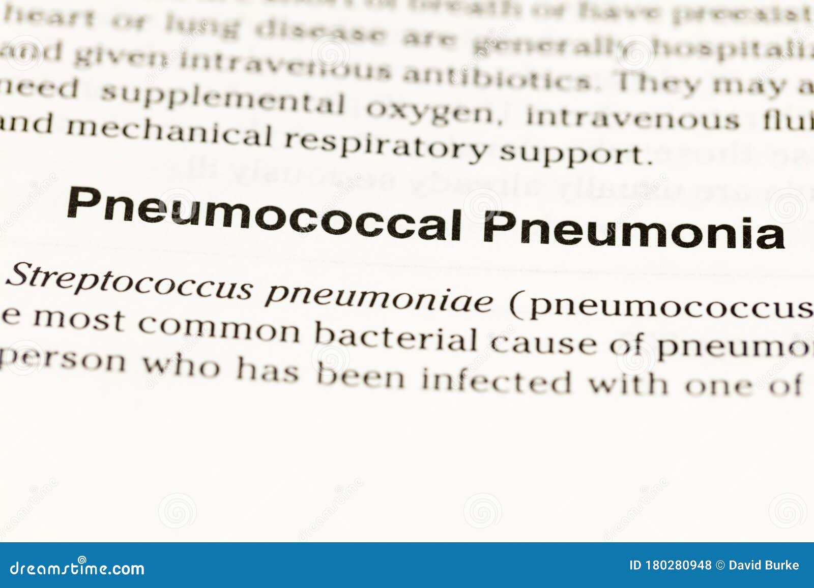 Pneumococcal Pneumonia Streptococcus Pneumoniae Bacteria Infection ...