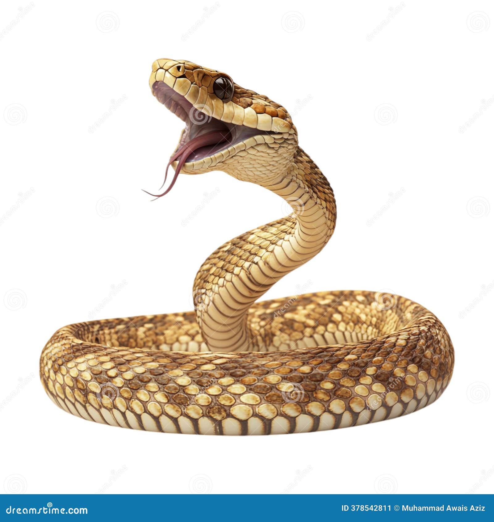 The Angry Snake Esport Mascot Design Vector Illustration ...