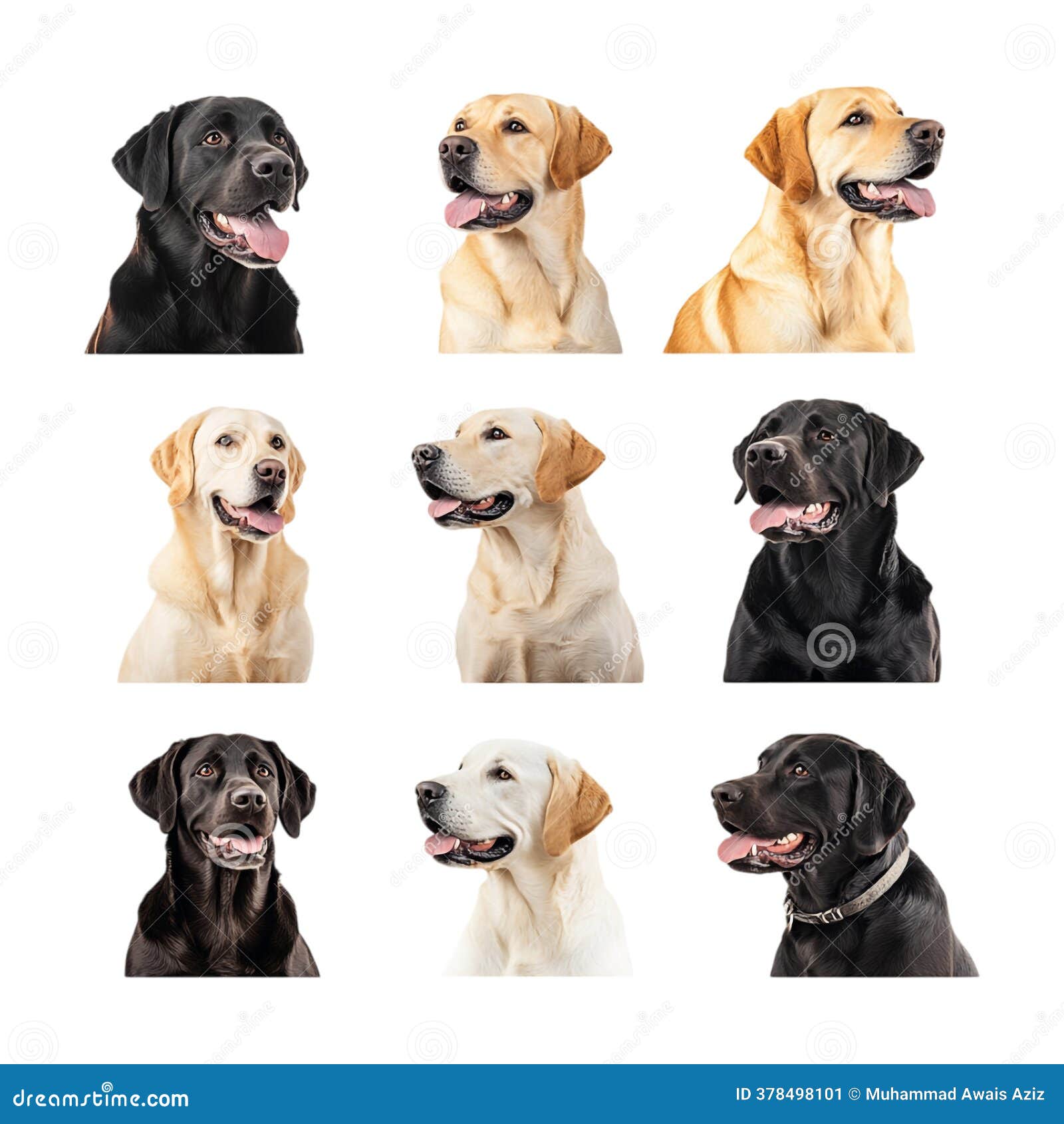 A Labrador Retrievers Brown Color In Urban Environments With Realistic ...