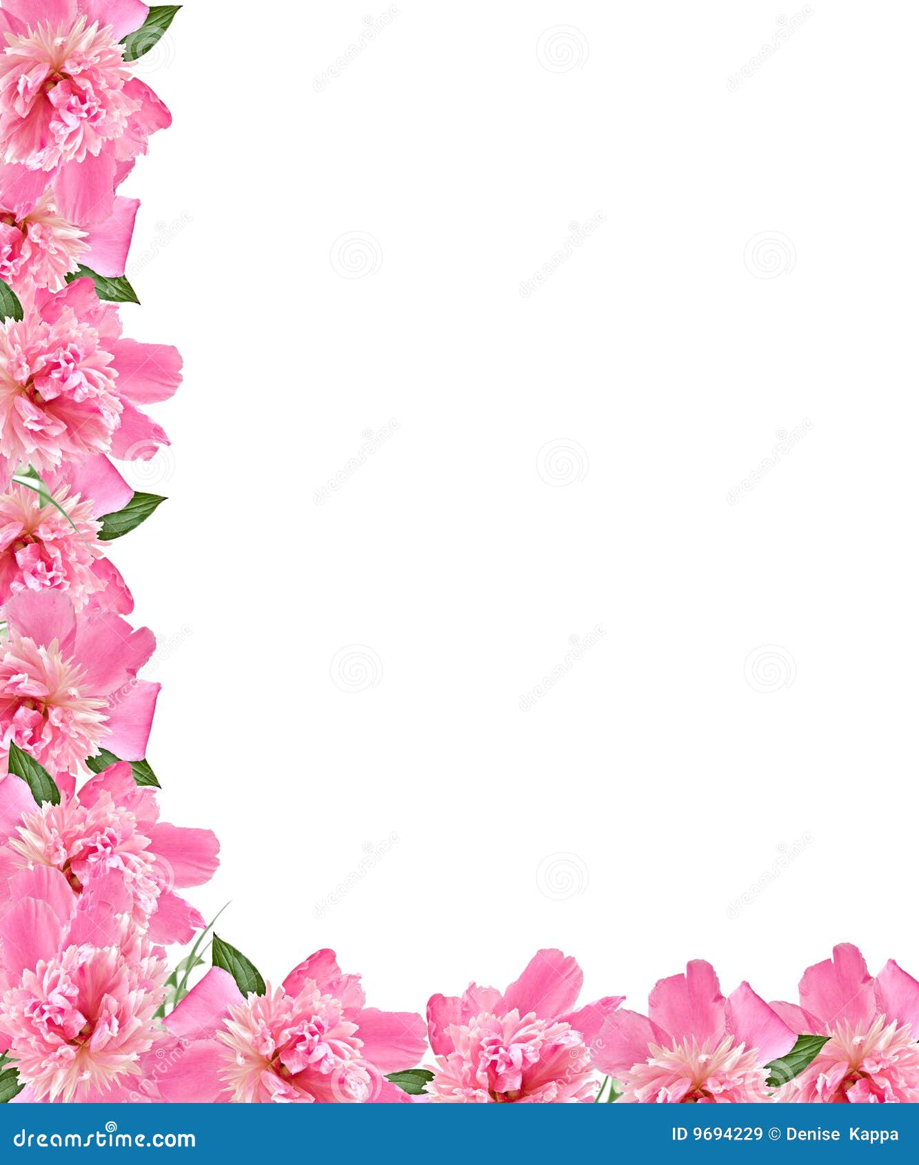Pnk Peony Floral Border stock image. Image of pink, edging - 9694229