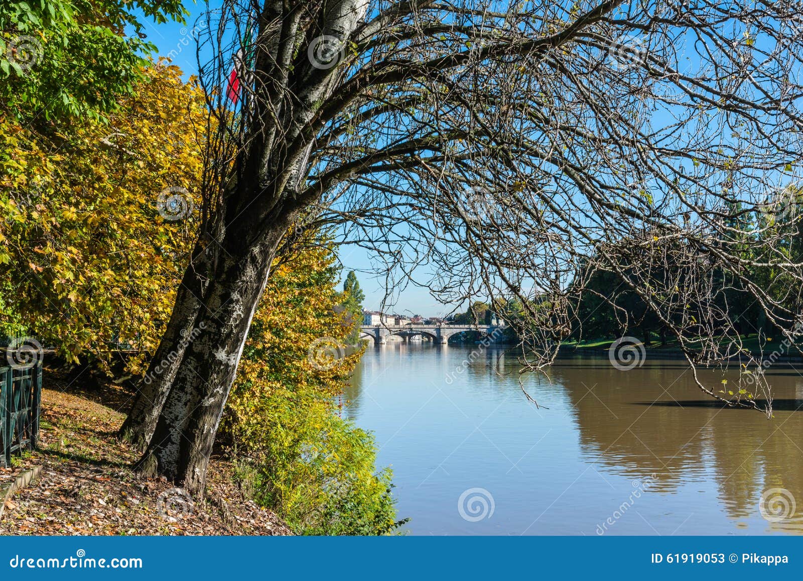 The Po River in Autumn, Turin Stock Image - Image of reflection, tree ...