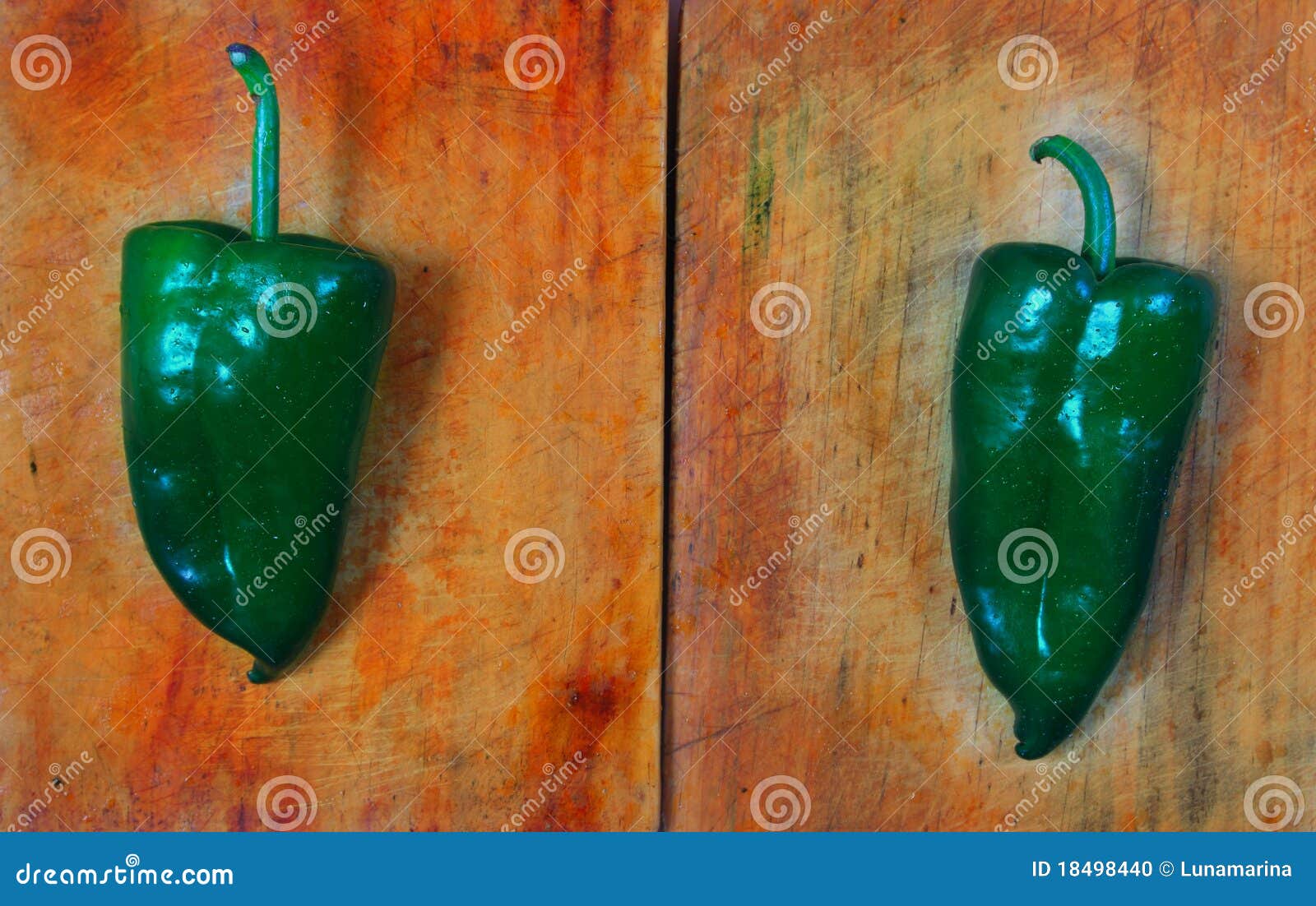 Poblano Chili Peppers Chile Stock Photo - Image of green, chilli: 18498440