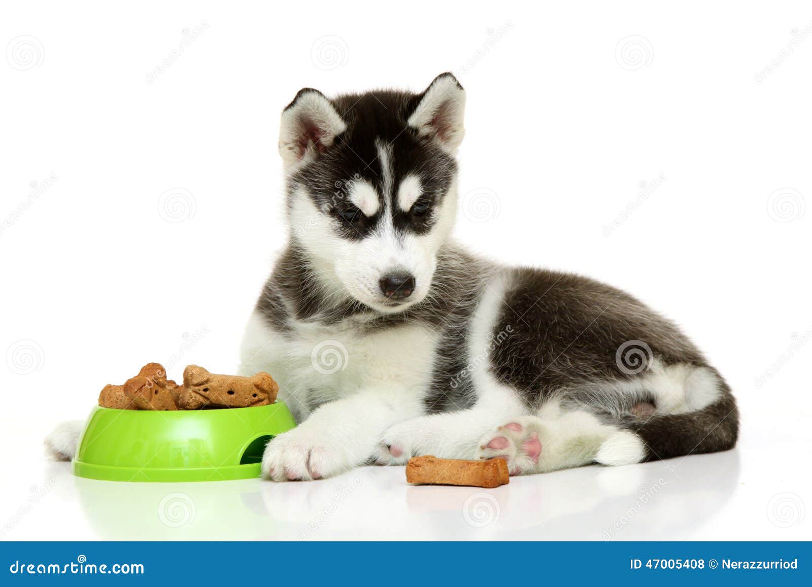 Poca Comida De La Consumición Foto de archivo - Imagen de alimento ...