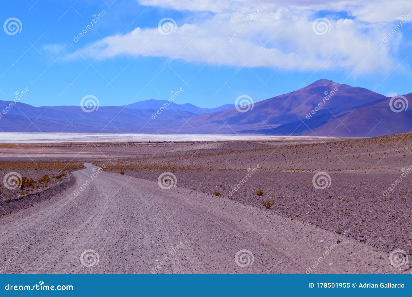 Pastos Grandes Salar At The Puna De Atacama, Salta Province, Argentina ...