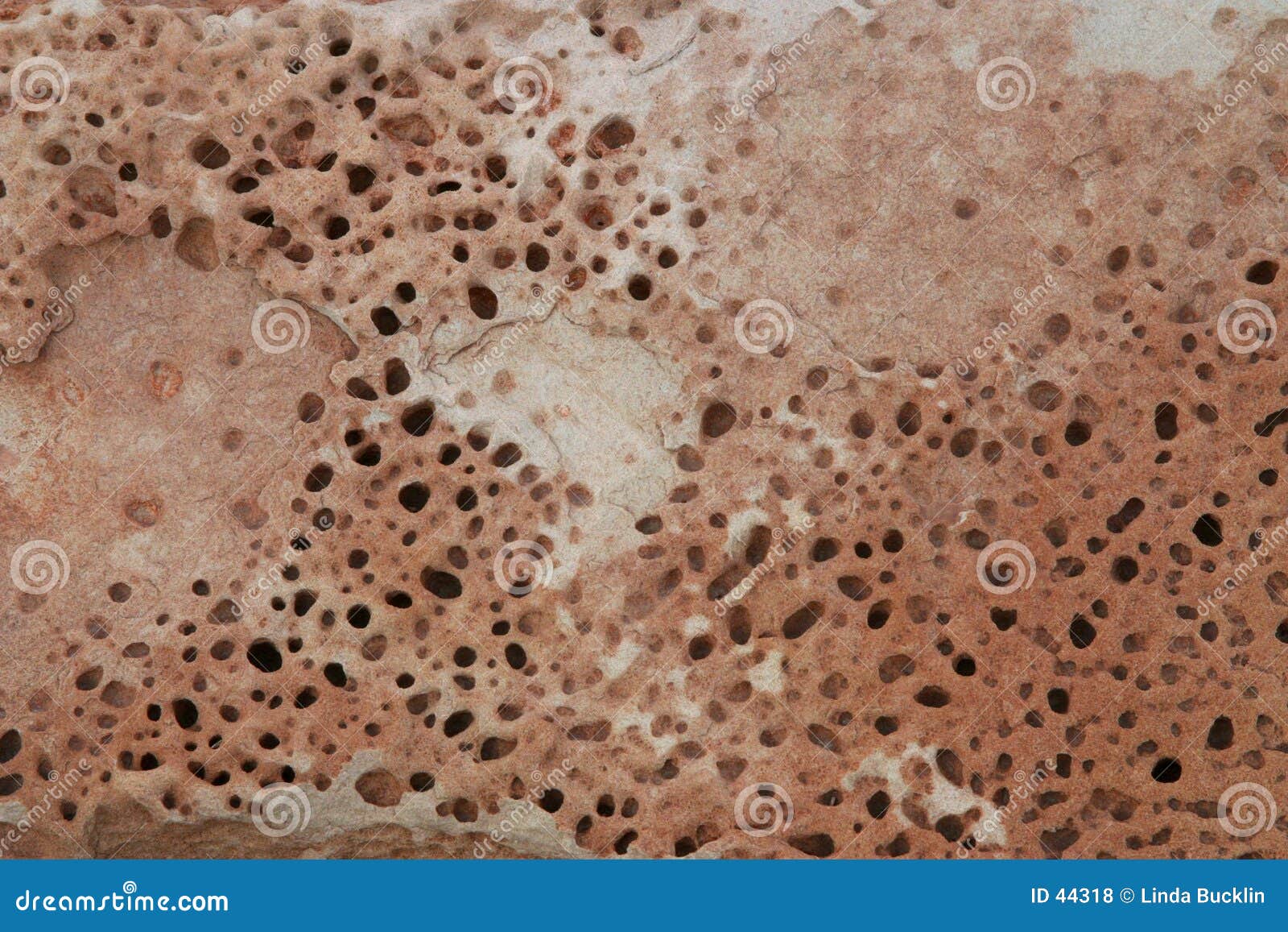 Pocked Rock Picture. Image: 44318