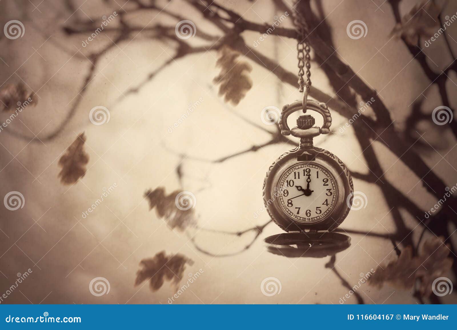 Pocket Watch Hanging in a Tree Branch Surrounded by Autumn Leave Stock ... Pocket Watch Hanging in a Tree Branch Surrounded by Autumn Leave Stock ...