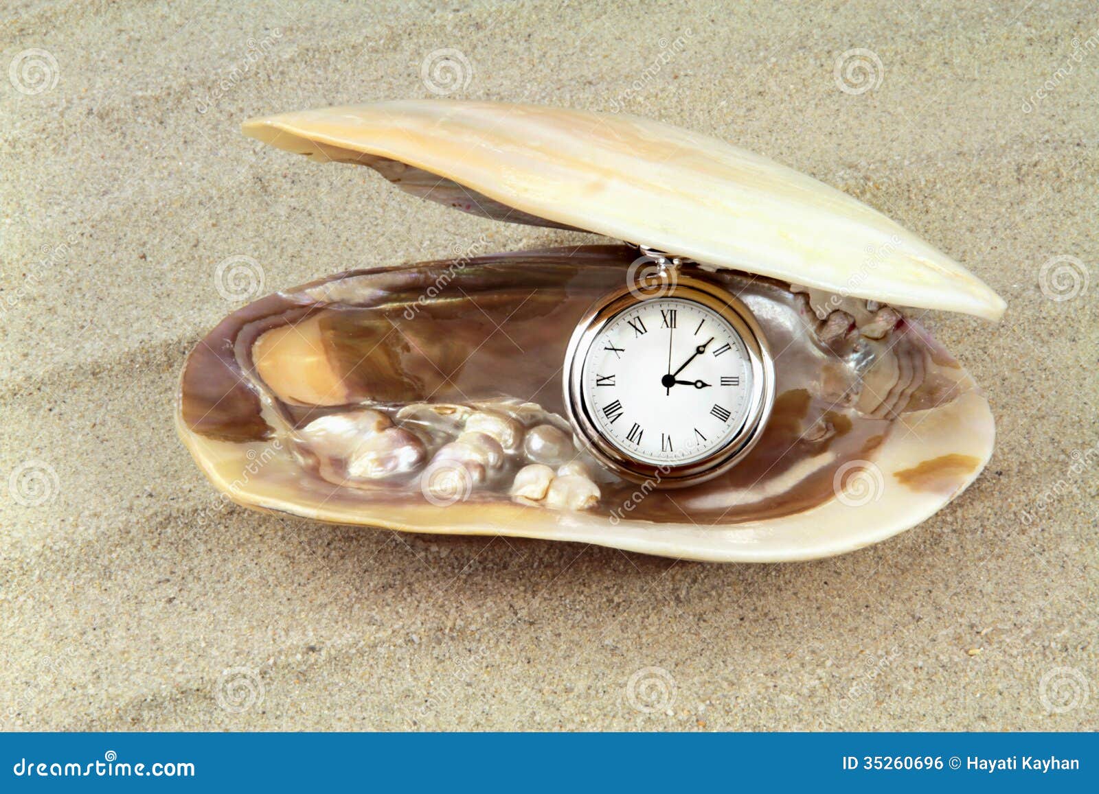 Pocket Watch in a Sea Shell with Real Pearls Stock Photo - Image of ...