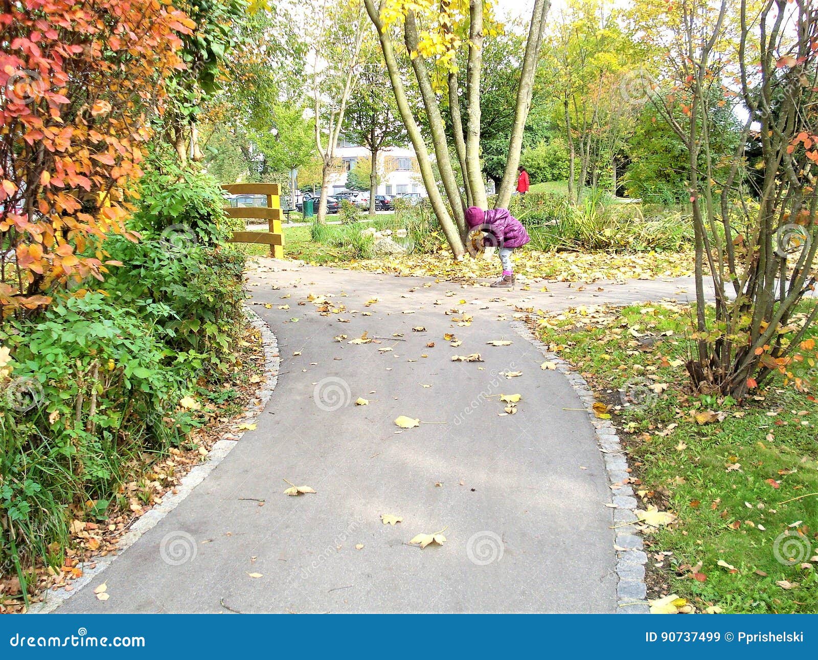 Pocking Germany stock image. Image of sommer, passau - 90737499