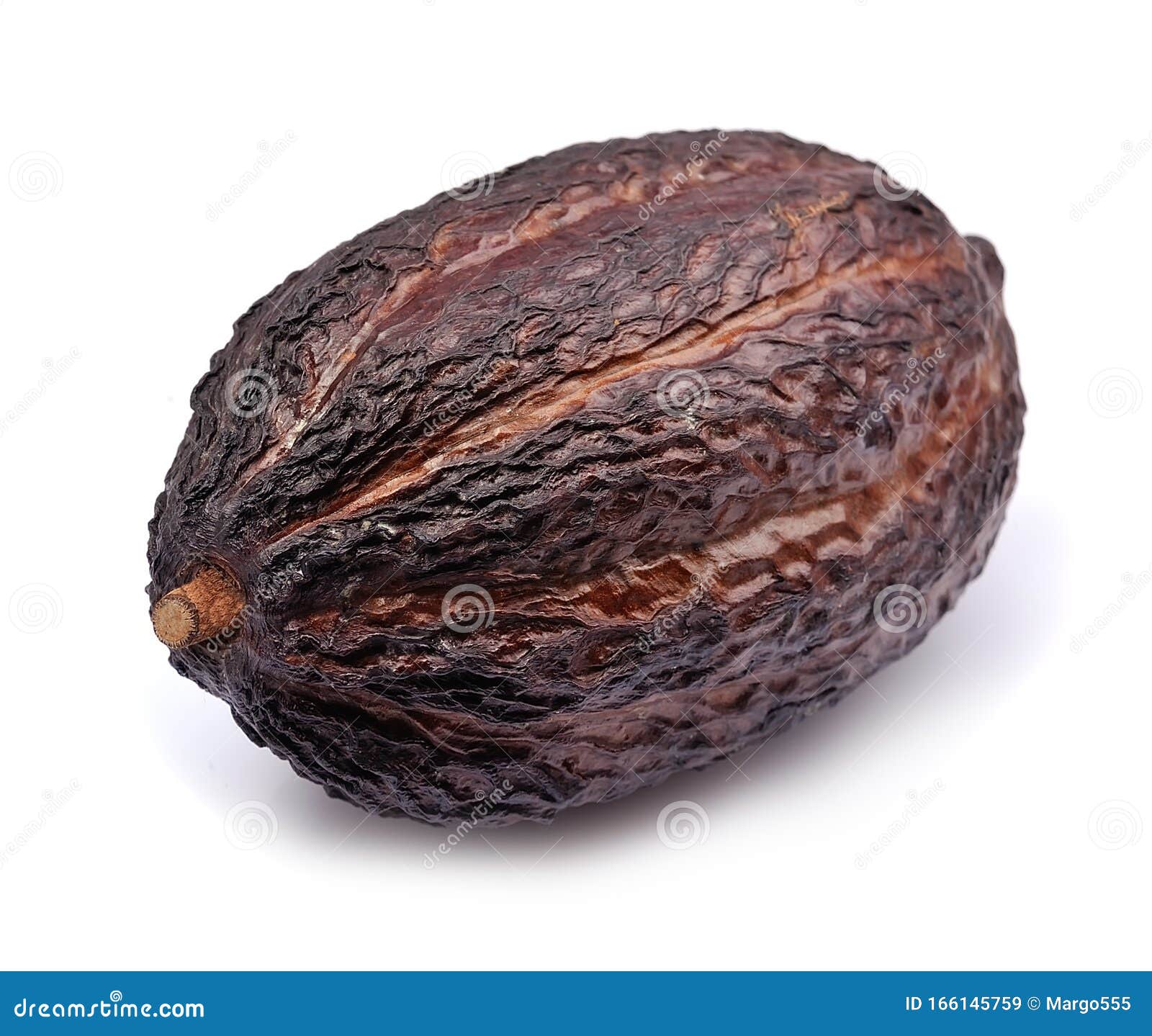 Pod de Cacao isolada imagem de stock. Imagem de sabor - 166145759