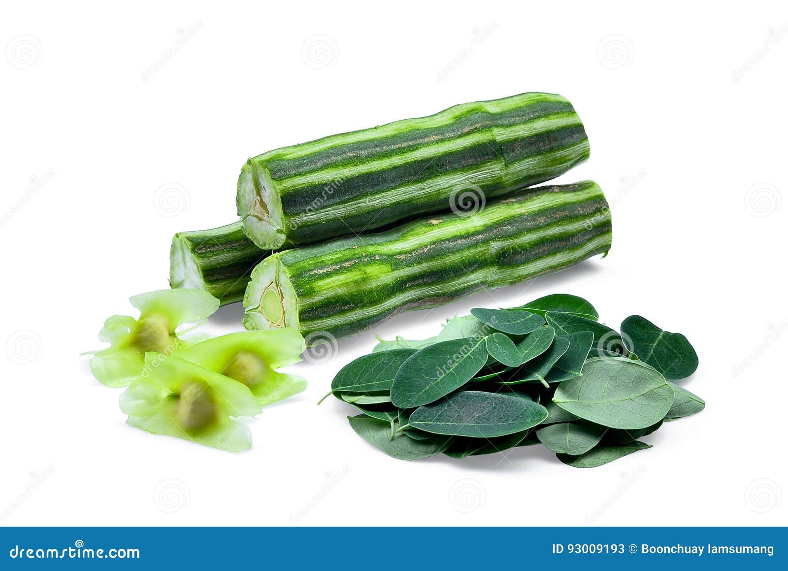 Pod of Moringa Drumstick Tree with Leaves,Tropical Herbs Stock Image ...
