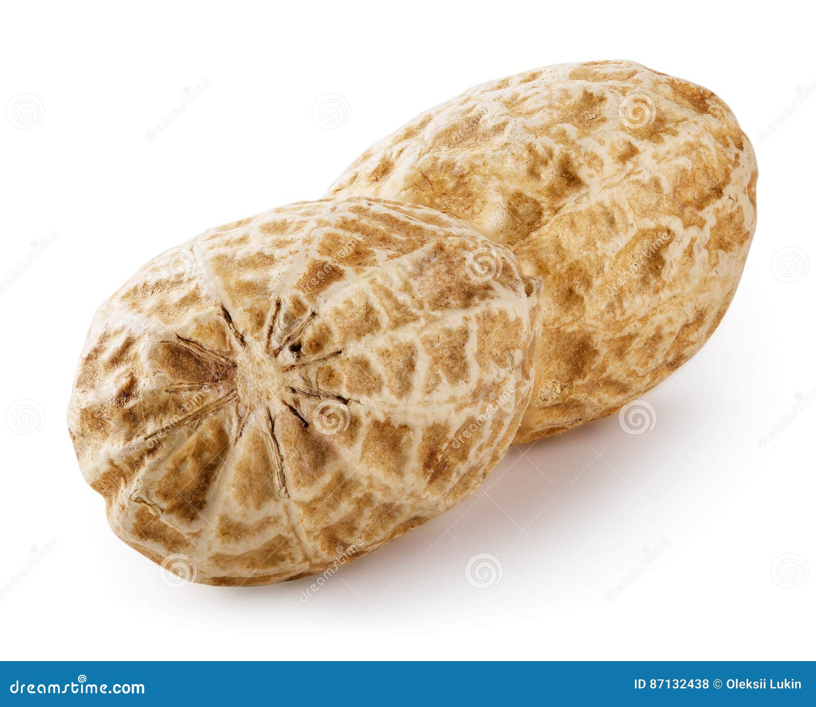 A pod of peanut stock photo. Image of pattern, healthy - 87132438