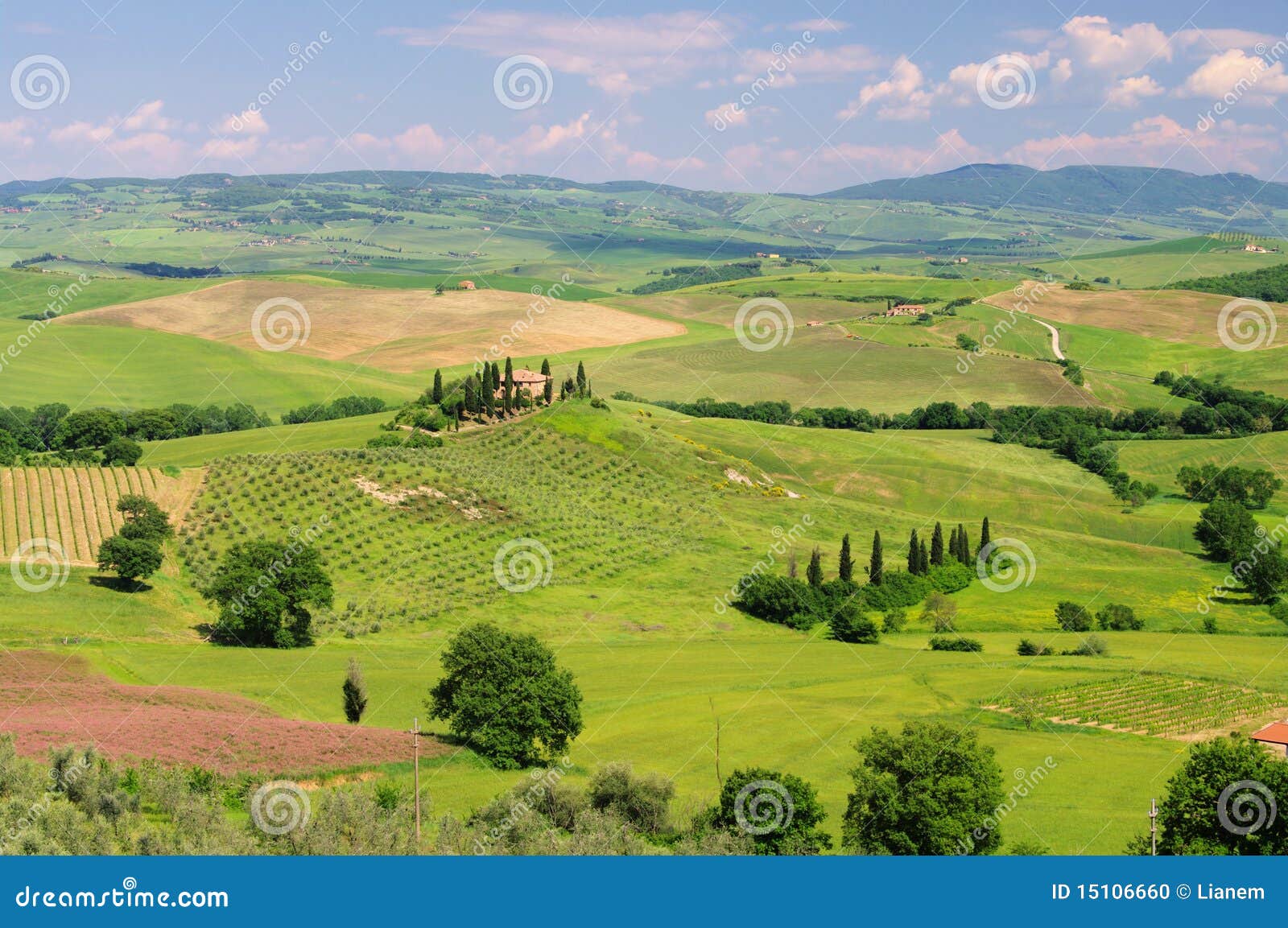 Podere stock photo. Image of scenery, hills, meadow, trees - 15106660