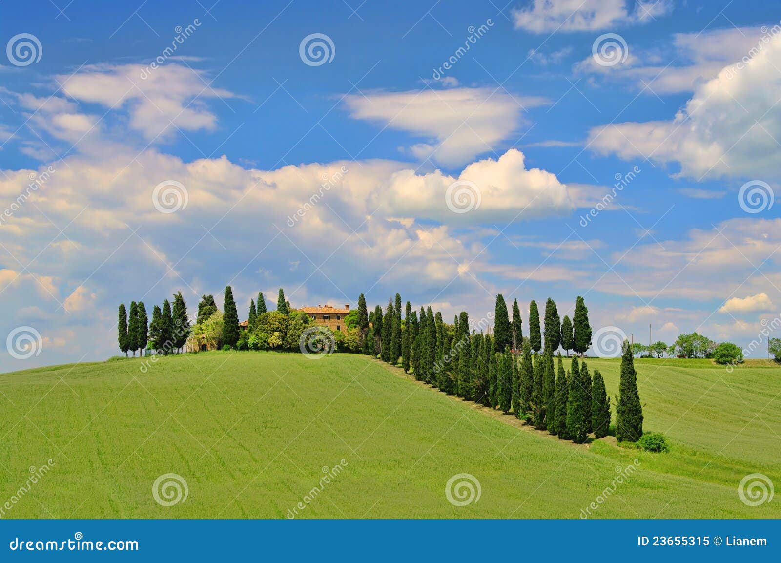 Podere stock image. Image of summer, italian, avenue - 23655315