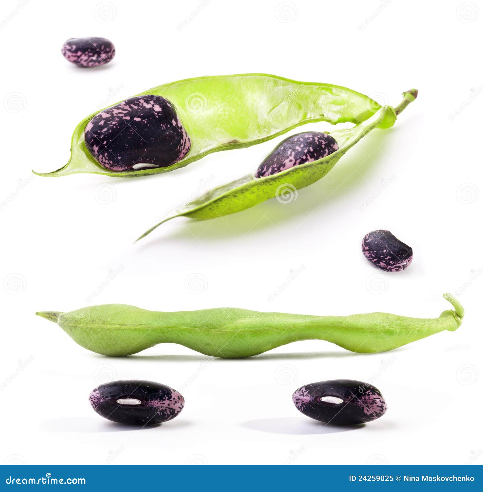 Pods and beans stock image. Image of healthy, culture - 24259025