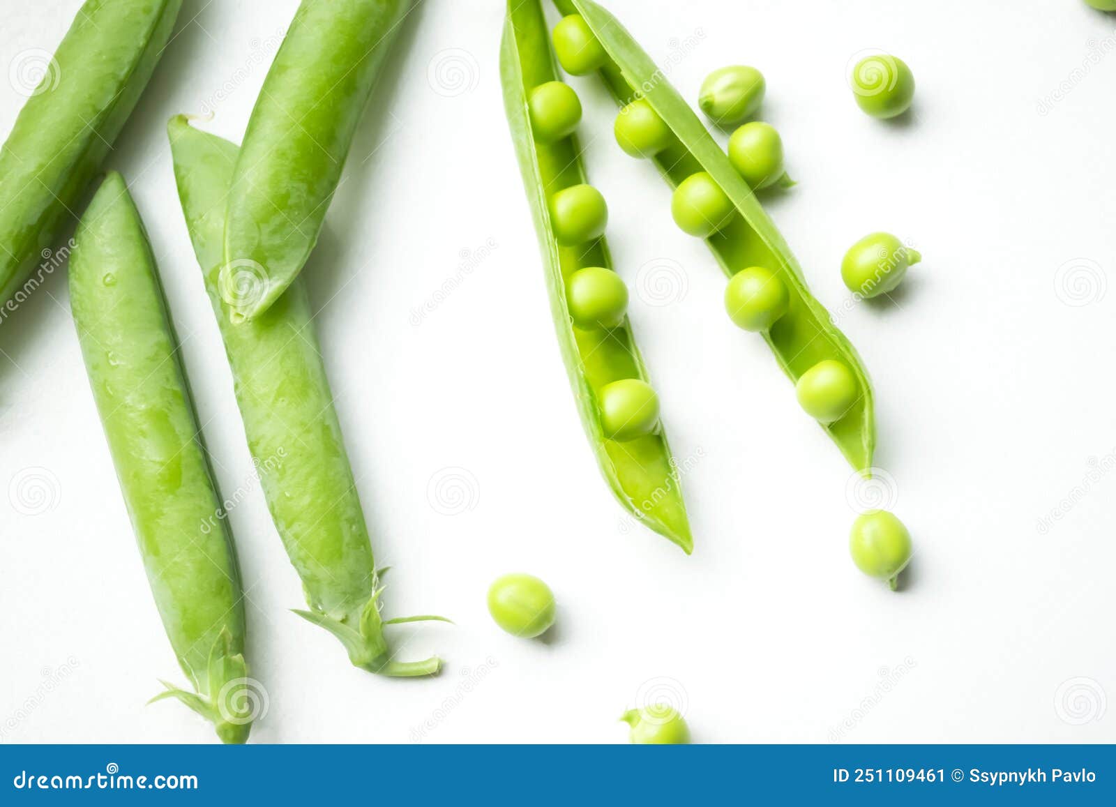 Pods Open and Close with Beans on a White Background. on a White ...