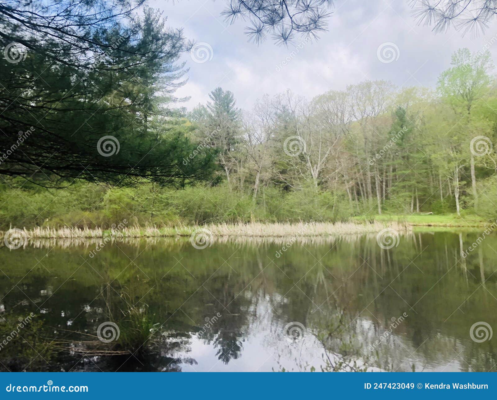 Poe Valley State Park stock image. Image of horses, called - 247423049