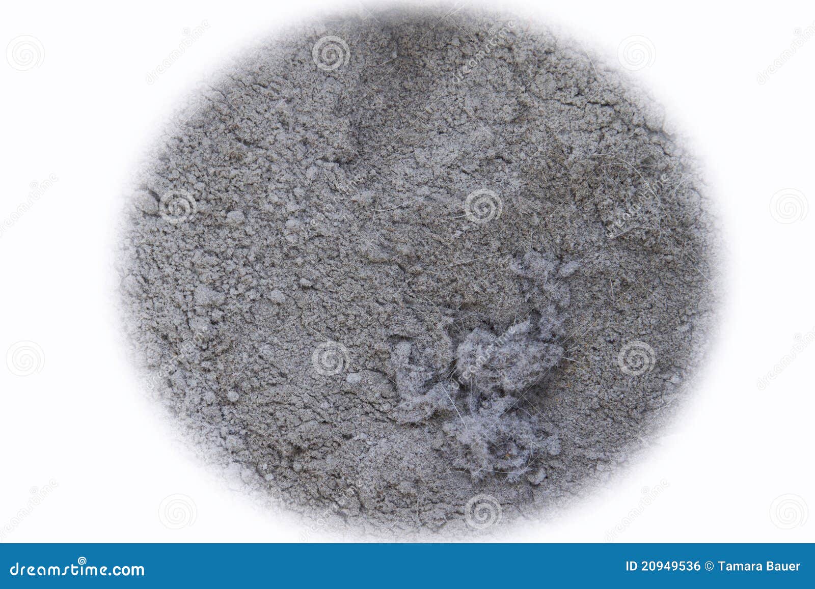 Poeira foto de stock. Imagem de alergias, sujo, macro - 20949536