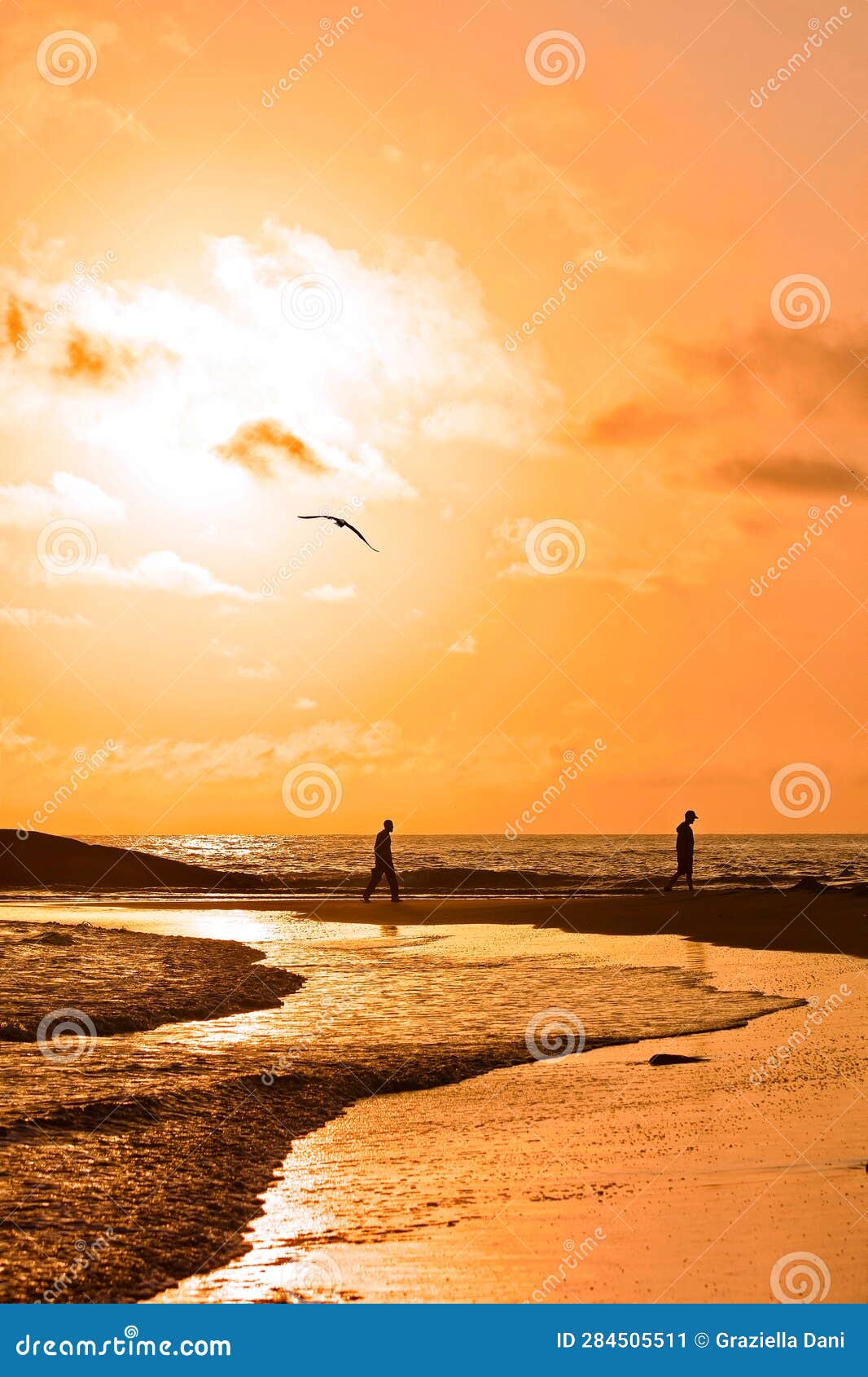 Men and bird stock image. Image of afterglow, sunlight - 284505511