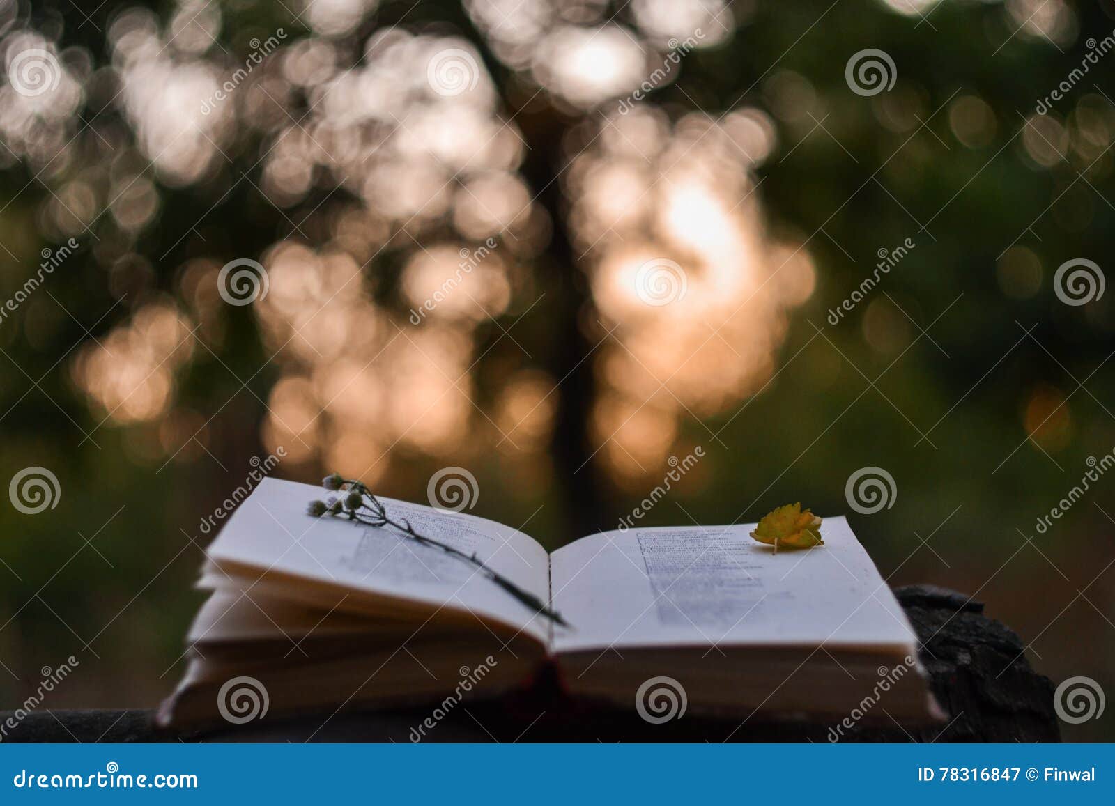 Poetry Book in Front of Blurred Sunset Stock Image - Image of sunset ...