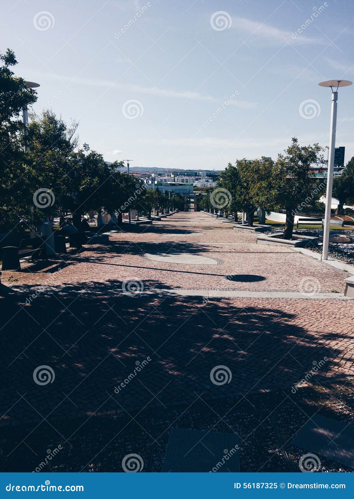 Poets Park stock image. Image of nature, sunshine, poets - 56187325