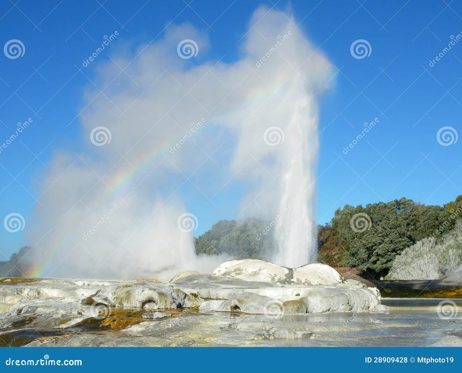 Pohutu Geyser in Rotorua stock photo. Image of journal - 28909428