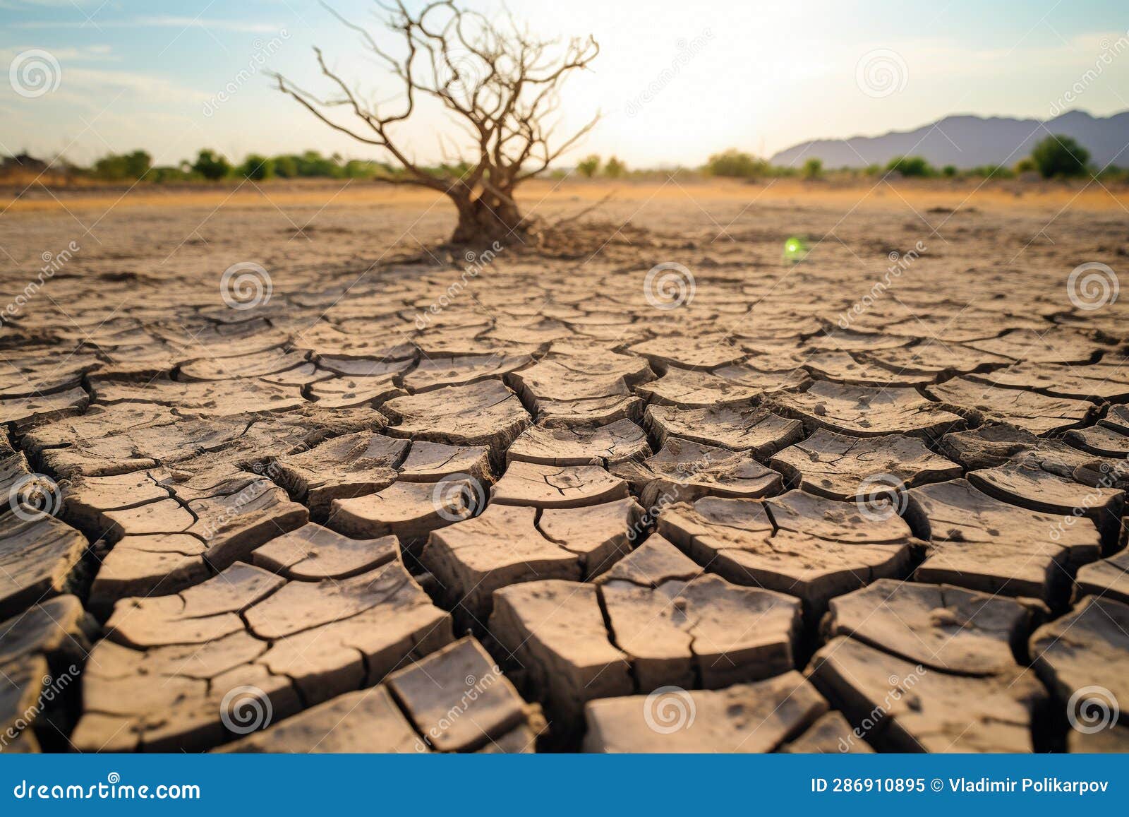 A Parched Landscape Caused By Lack Of Rainfall. Concept Dry Climate ...
