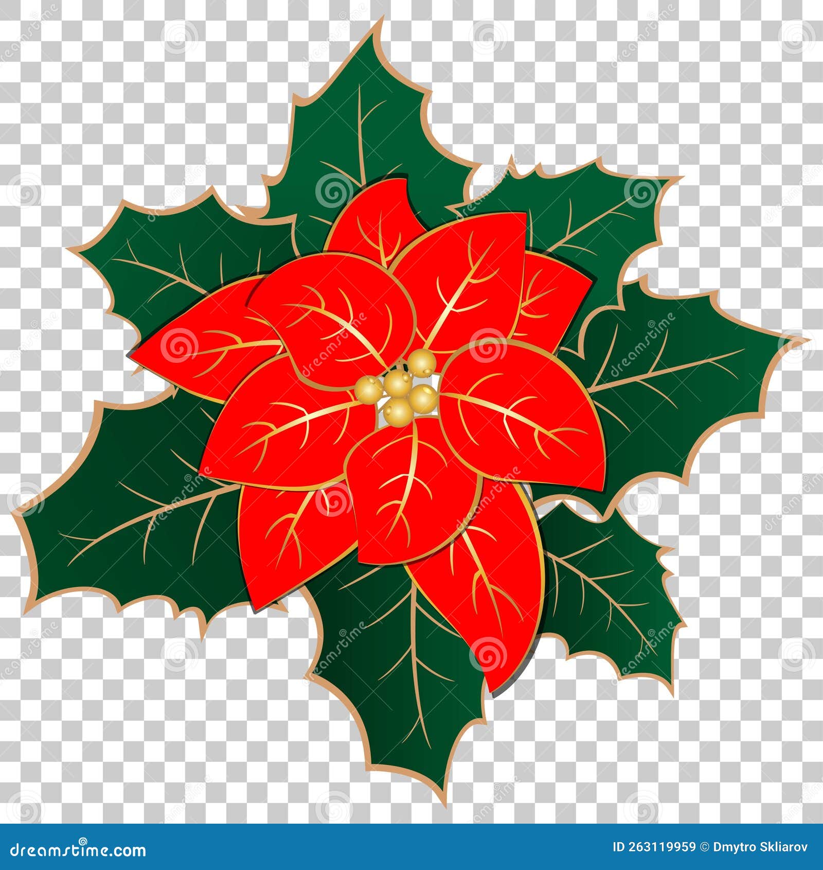 Poinsettia and Mistletoe on Transparent Background Stock Vector ...