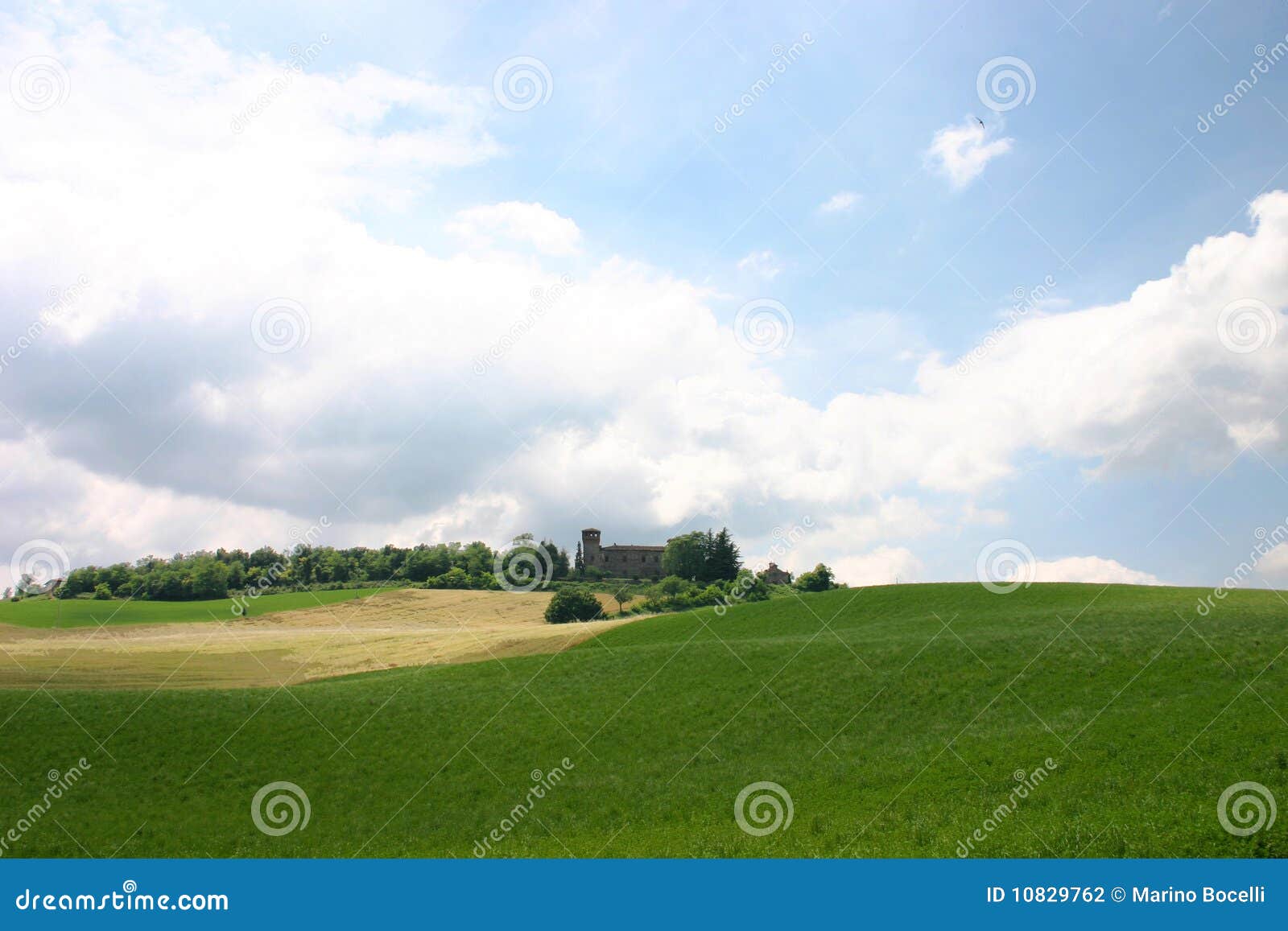 Point of entry stock photo. Image of sweet, relax, green - 10829762