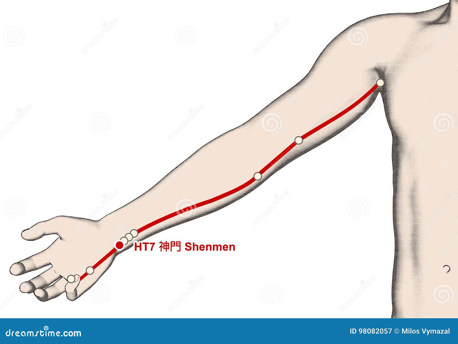 Point HT7 Shenmen, D'acuponcture De Dessin Illustration 3D Illustration ...