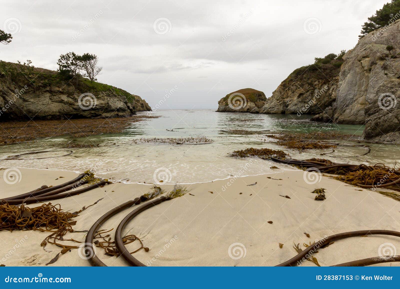 Point Lobos State Natural Reserve Stock Image - Image of nature ...