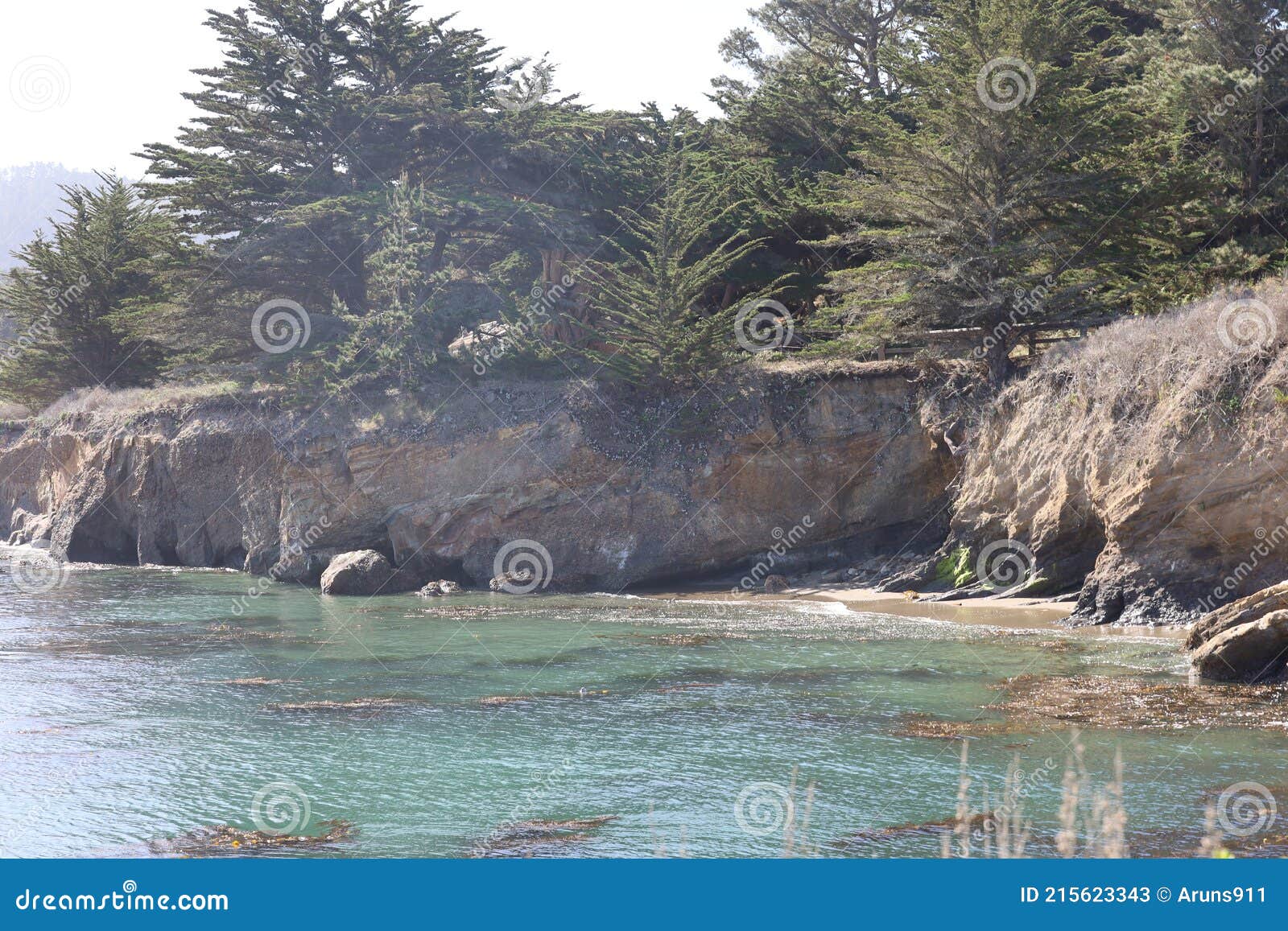 Point Lobos State Park in California Stock Image - Image of california ...