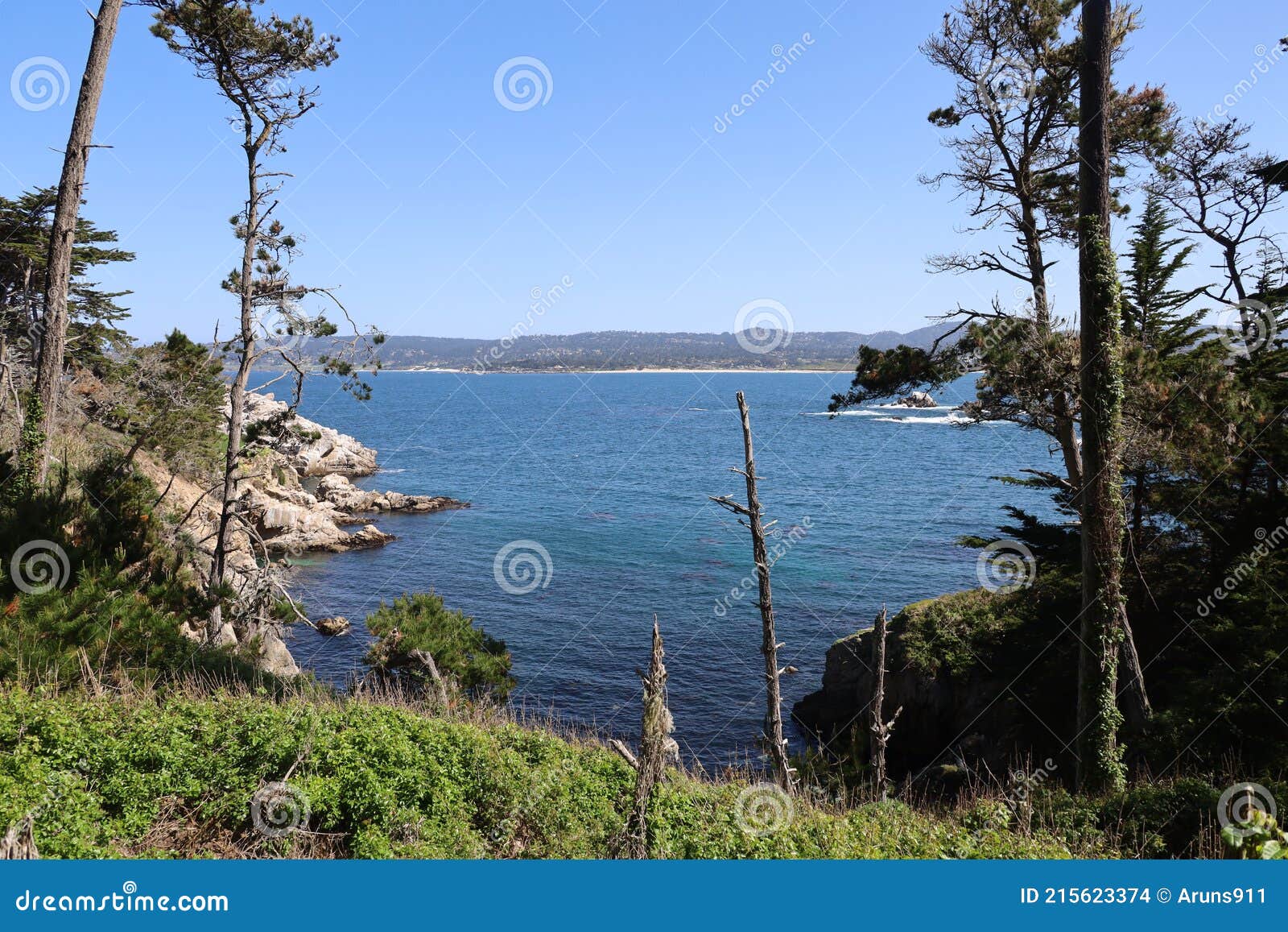 Point Lobos State Park in California Stock Photo - Image of america ...