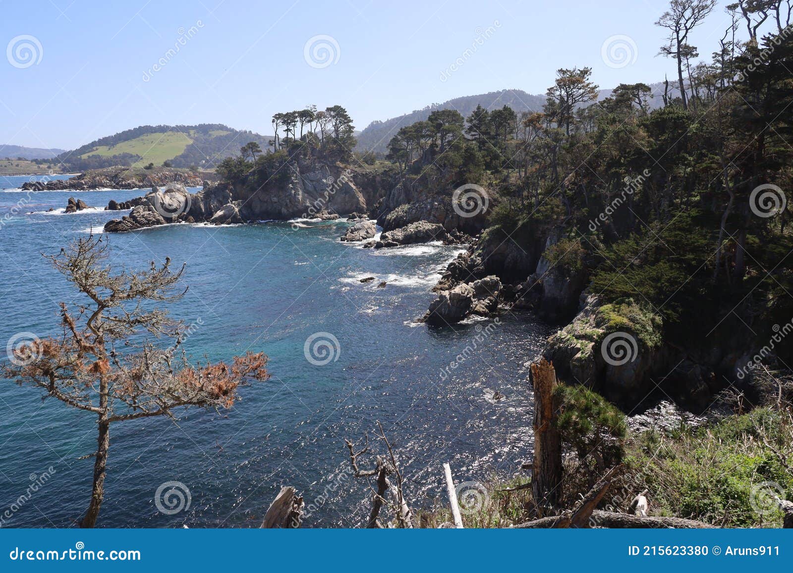 Point Lobos State Park in California Stock Photo - Image of lobos ...