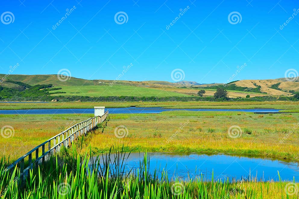 Point reyes stock photo. Image of grass, mountain, hiking - 20716946