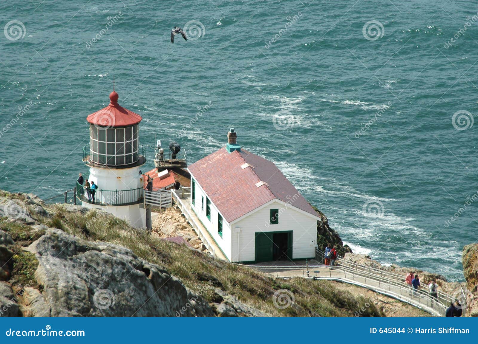 Point Reyes Lighthouse stock photo. Image of lighthouse - 645044
