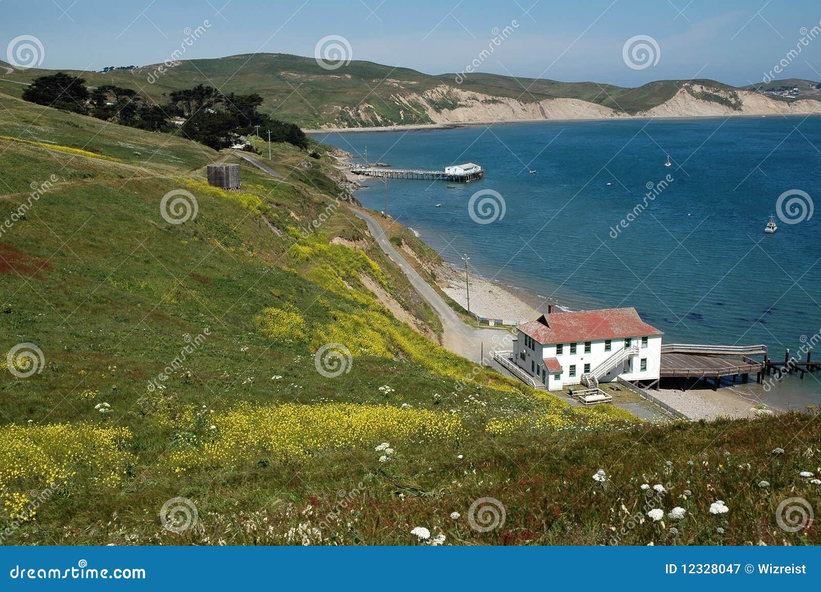 Point Reyes National Seashore Stock Image - Image of national, drakes ...