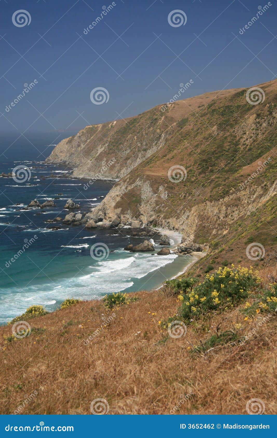 Point Reyes National Seashore Stock Photo - Image of hiking, park: 3652462